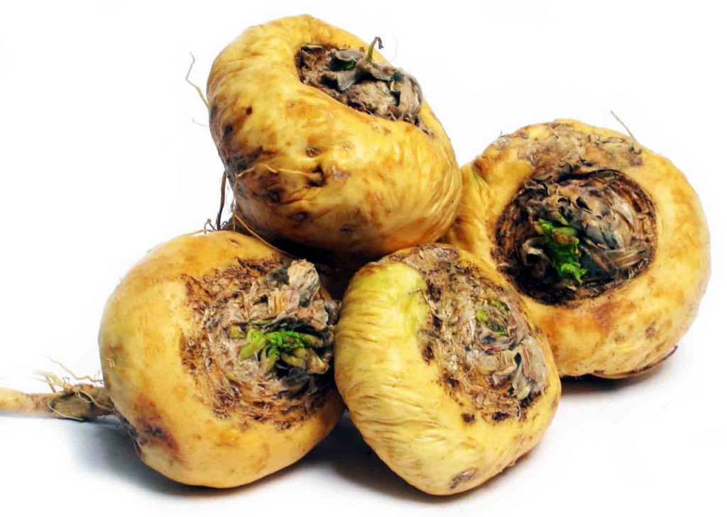 MACA ⋆ Bienfaits, posologie et avis clients MACA ⋆ Bienfaits, posologie et avis clients